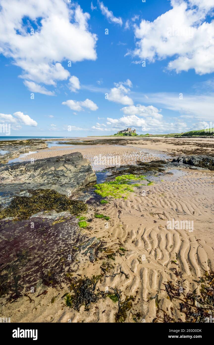 Vikings england 11th century hi-res stock photography and images - Alamy