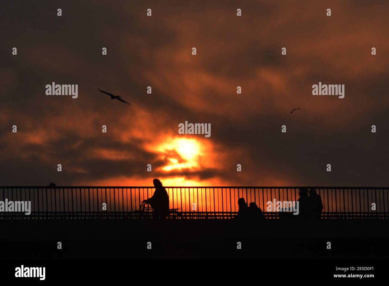 Hold bailcha hi-res stock photography and images - Alamy