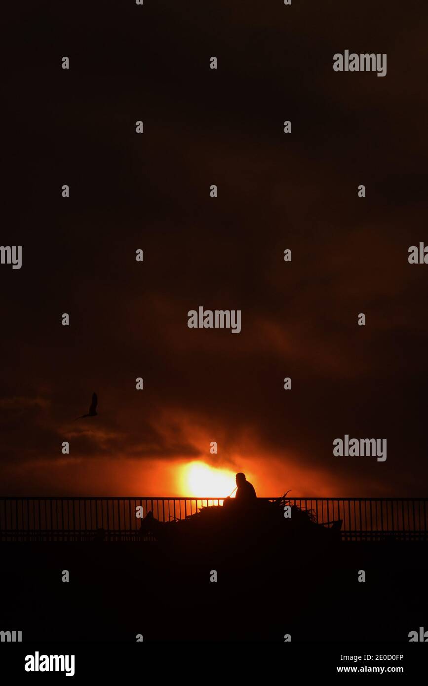 Pakistani people busy in their routine work during last sunset of the ...