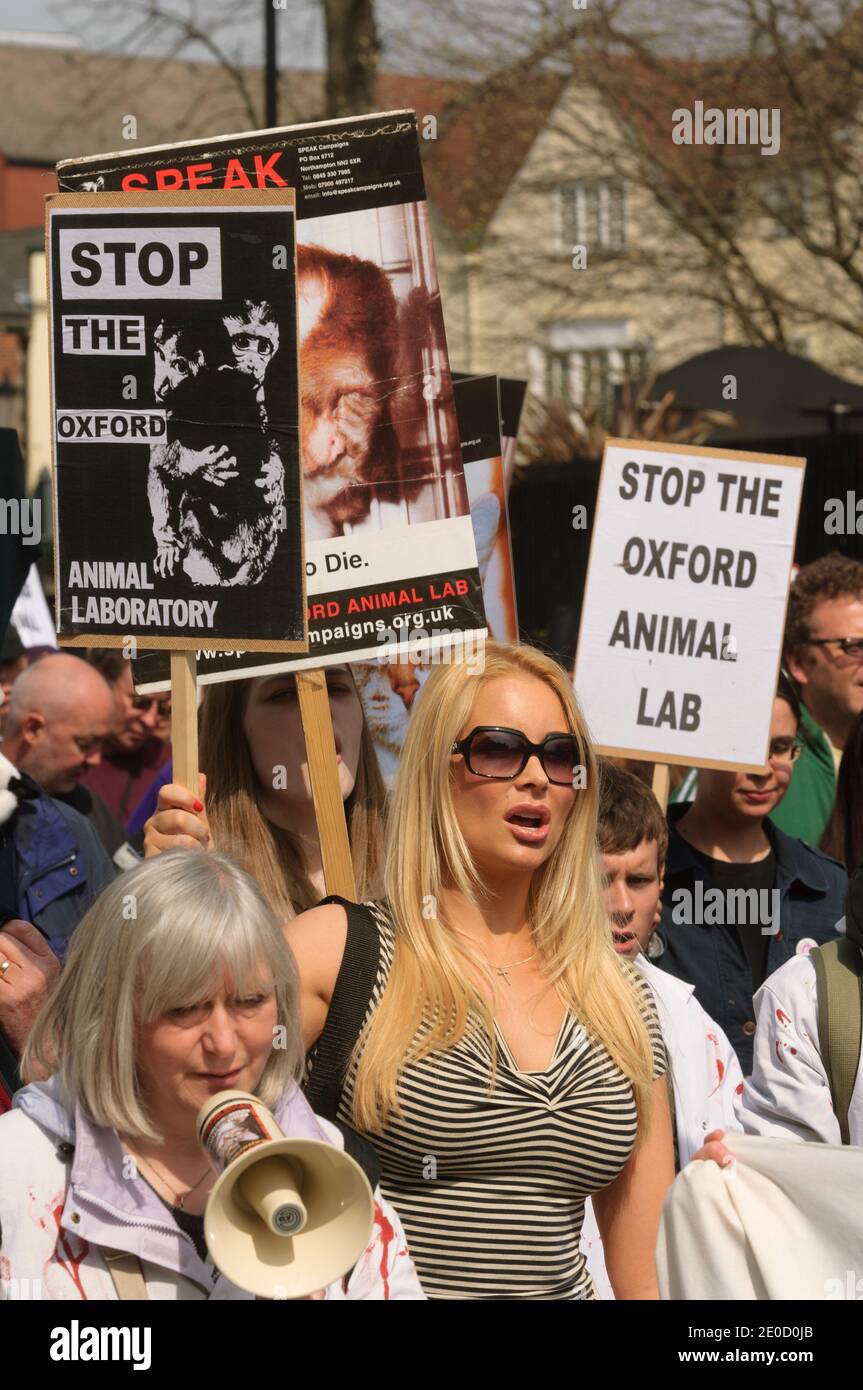 Animal experimentations hi-res stock photography and images - Alamy