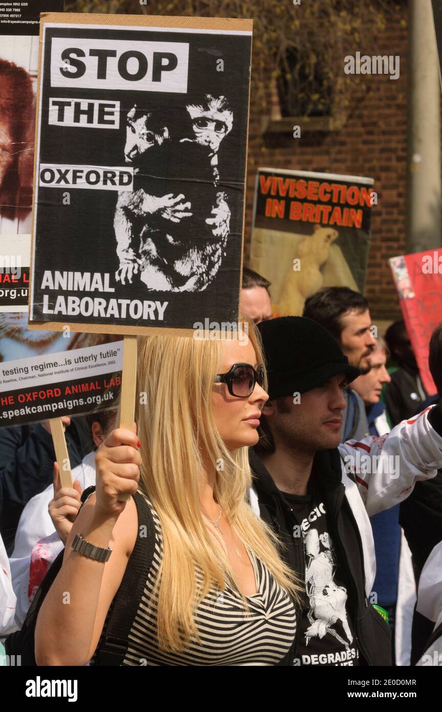 Experimentations animal hi-res stock photography and images - Alamy