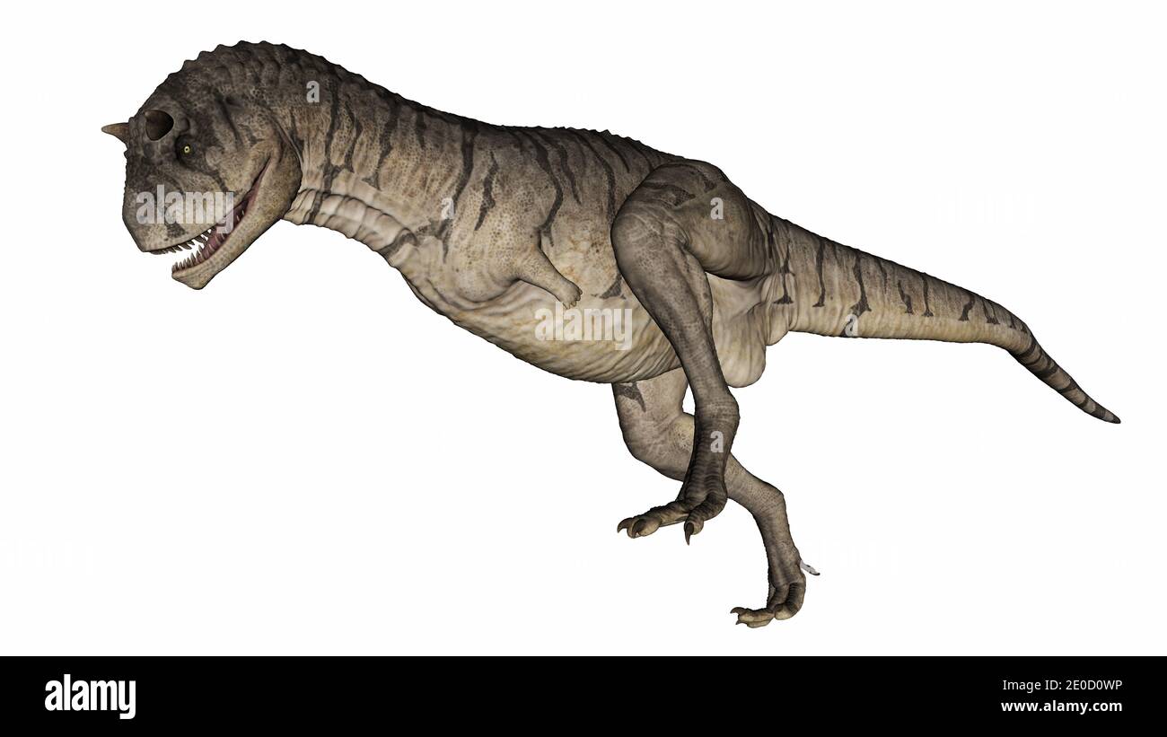 Carnotaurus sastrei hi-res stock photography and images - Alamy