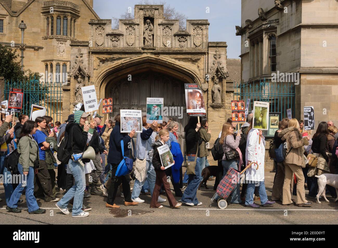 Experimentations animal hi-res stock photography and images - Alamy