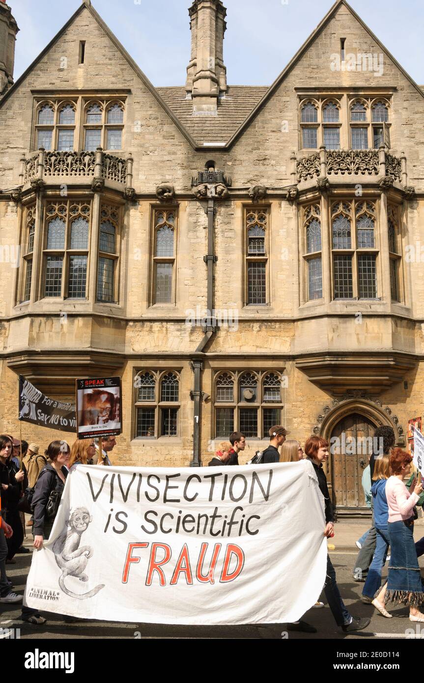 Experimentations animal hi-res stock photography and images - Alamy