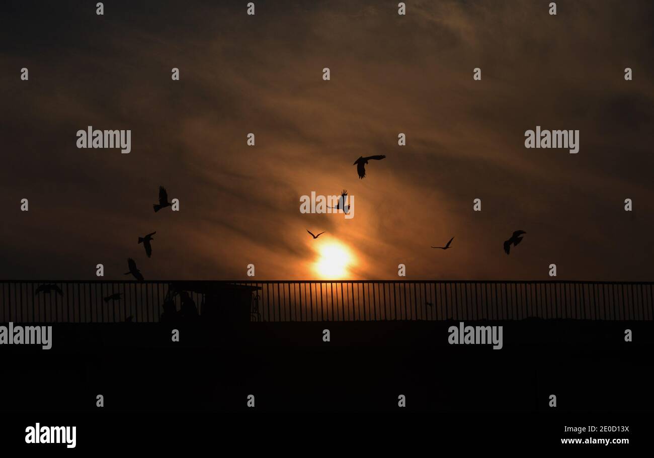 Lahore, Pakistan. 31st Dec, 2020. Pakistani people busy in their ...
