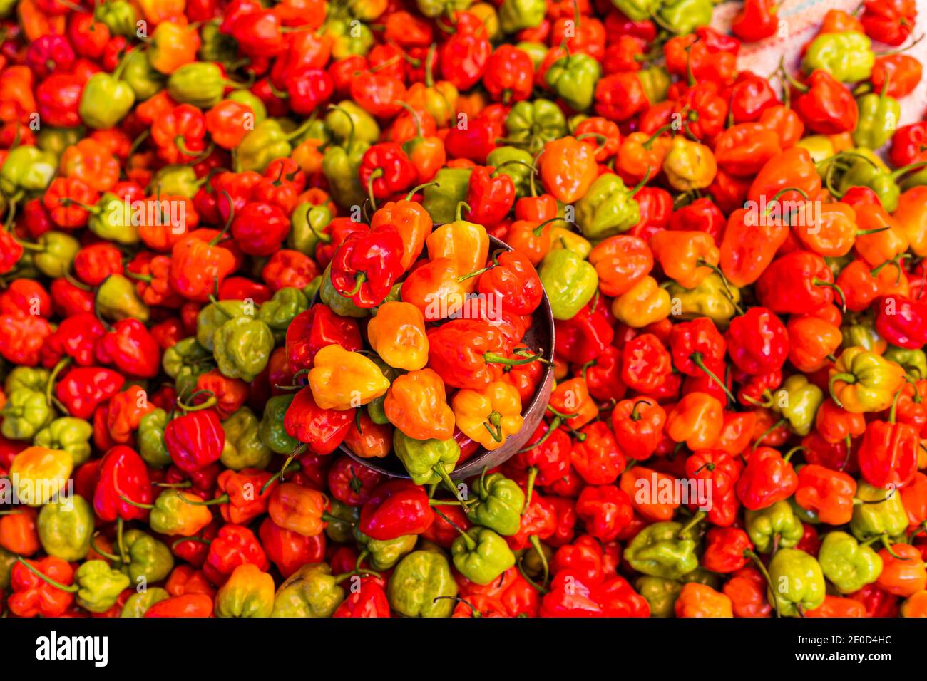 Colorful chillies on a market in Rantepao, Sulawesi, Indonesia Stock ...