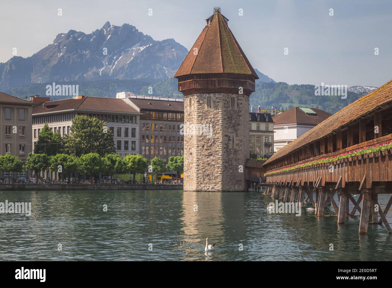 The famous pedestrian Chapel Bridge (Kapellbrücke) over the Reuss River ...
