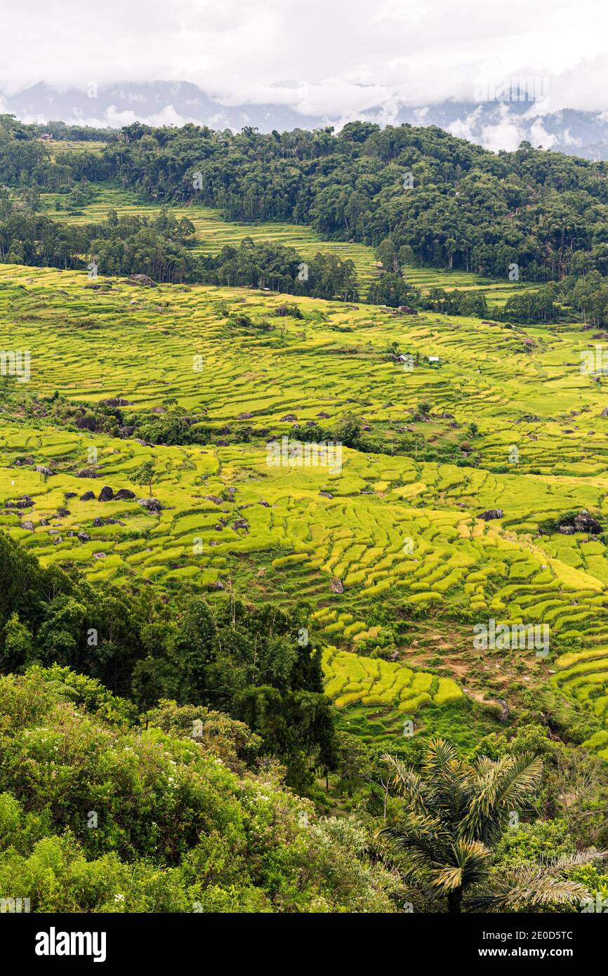 Rantepao sulawesi hi-res stock photography and images - Alamy