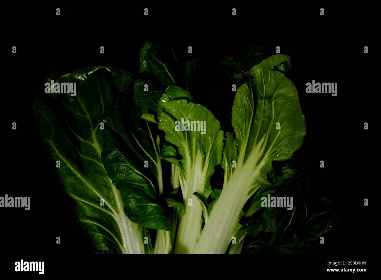 Edible leaves hi-res stock photography and images - Alamy
