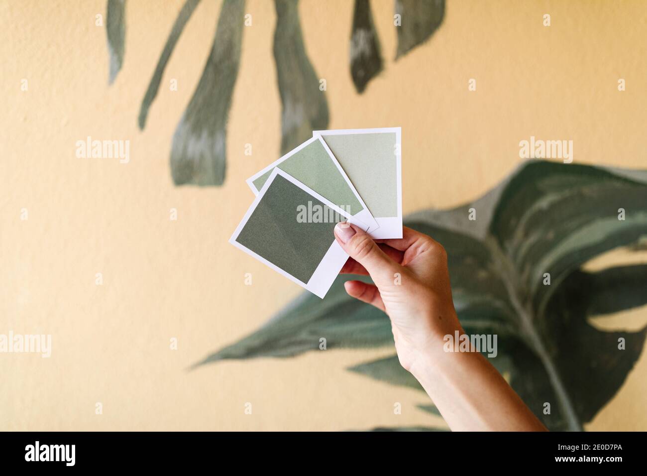 Unrecognizable crop female designer standing with green paper color ...