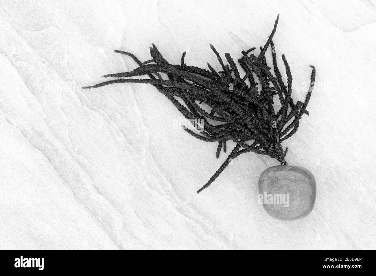 Minimalist black and white composition of an aesthetic flake sticking ...