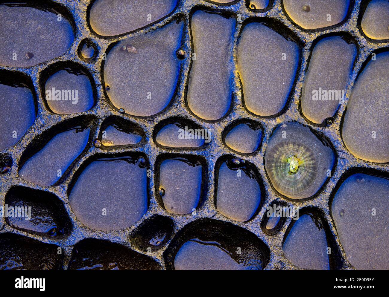 Texture patterns and colors on a cliff of a beach in Asturias Stock ...