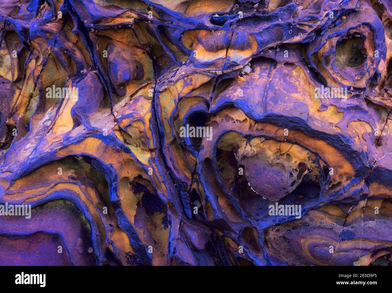 Strange texture with alien patterns on a cliff in Asturias Stock Photo ...