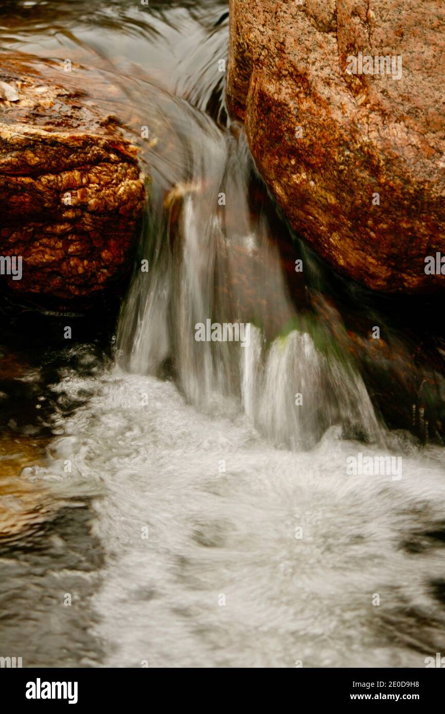Freshwater spring runoff in Arizona Stock Photo - Alamy