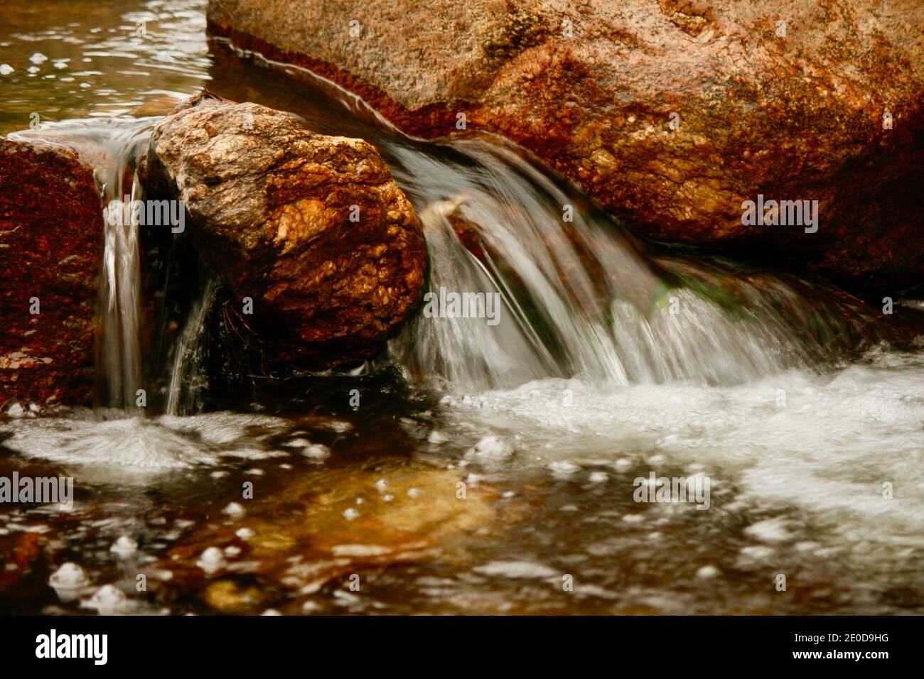 Freshwater spring runoff in Arizona Stock Photo - Alamy