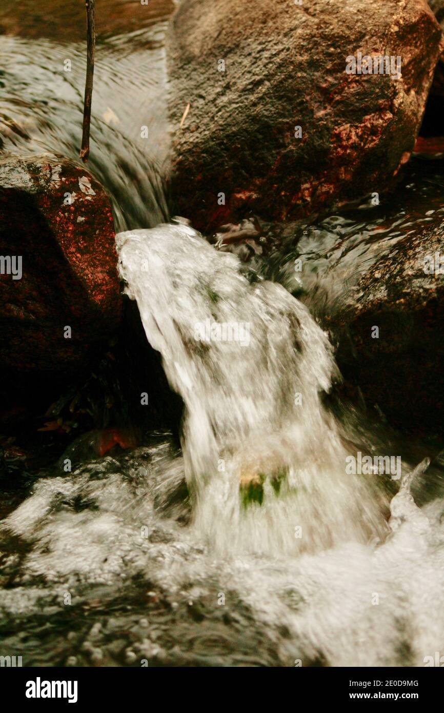 Freshwater spring runoff in Arizona Stock Photo - Alamy