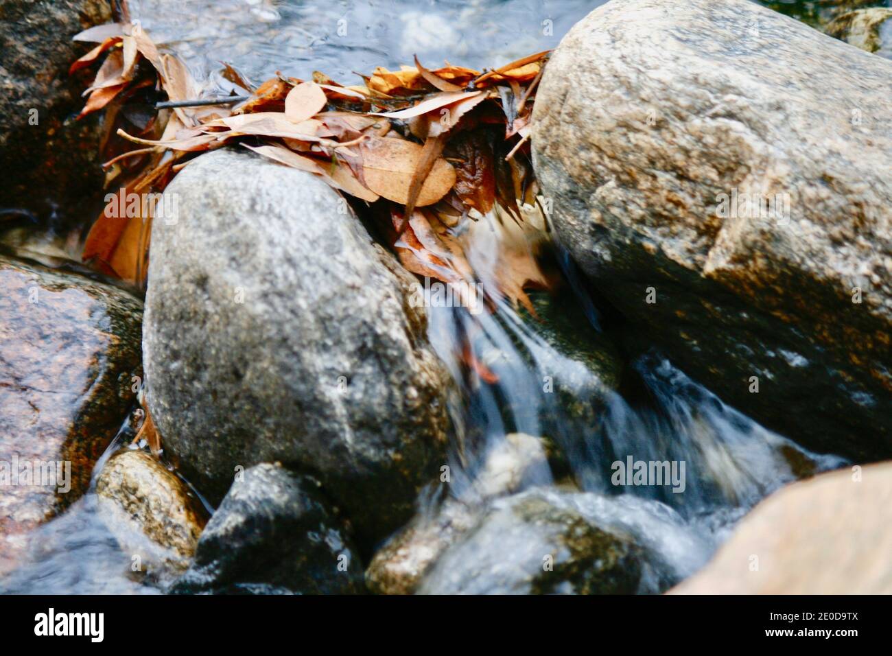 Freshwater spring runoff in Arizona Stock Photo - Alamy
