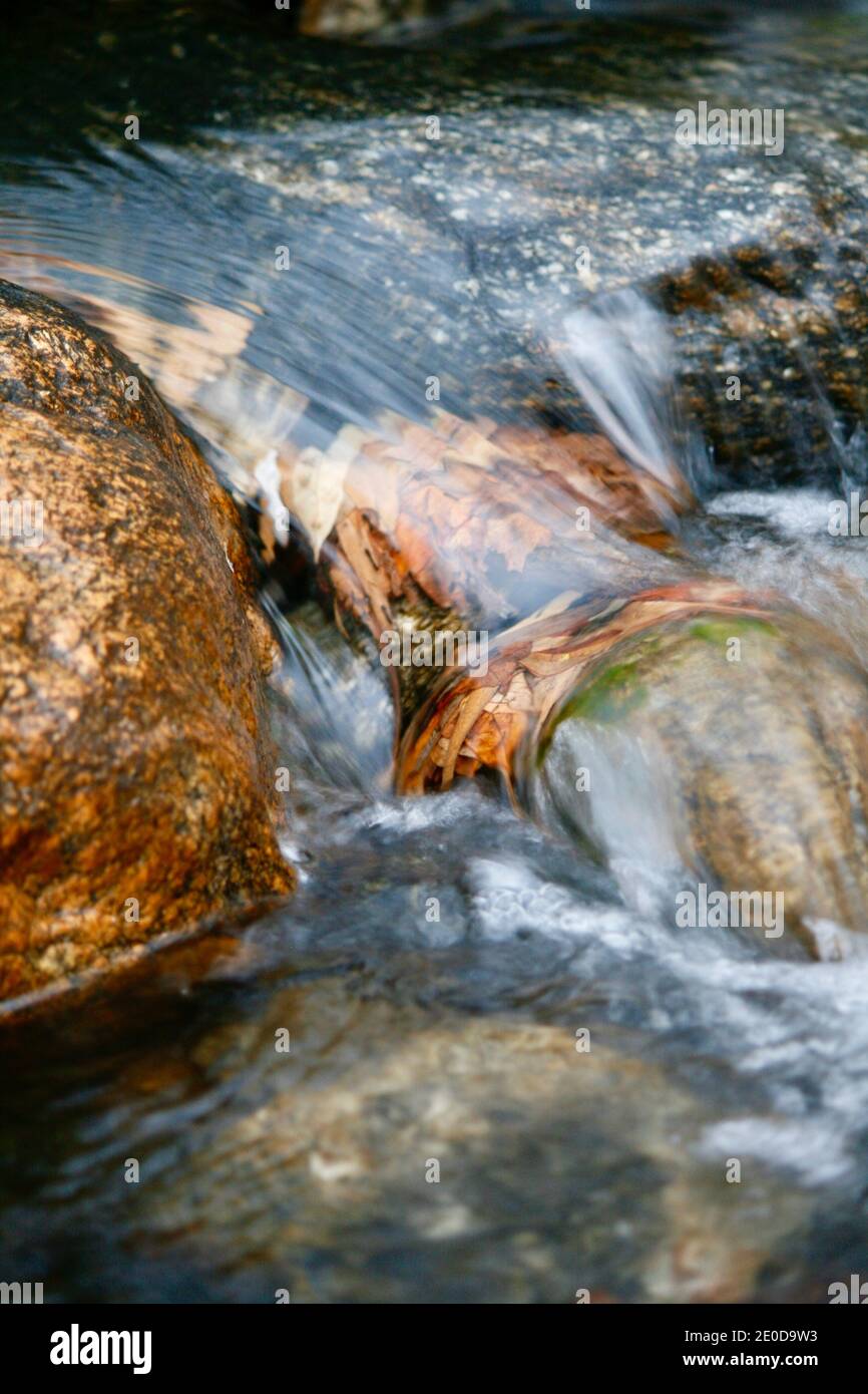 Freshwater spring runoff in Arizona Stock Photo - Alamy