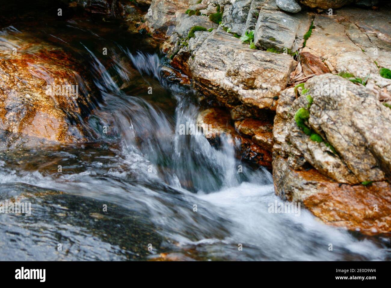 Freshwater spring hi-res stock photography and images - Alamy