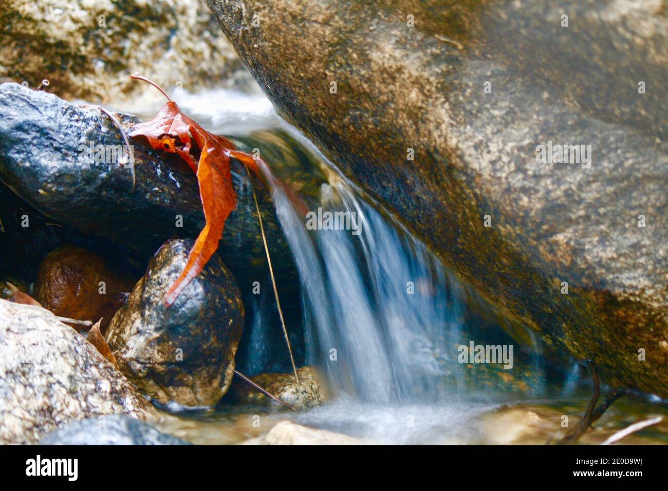 Freshwater spring runoff in Arizona Stock Photo - Alamy