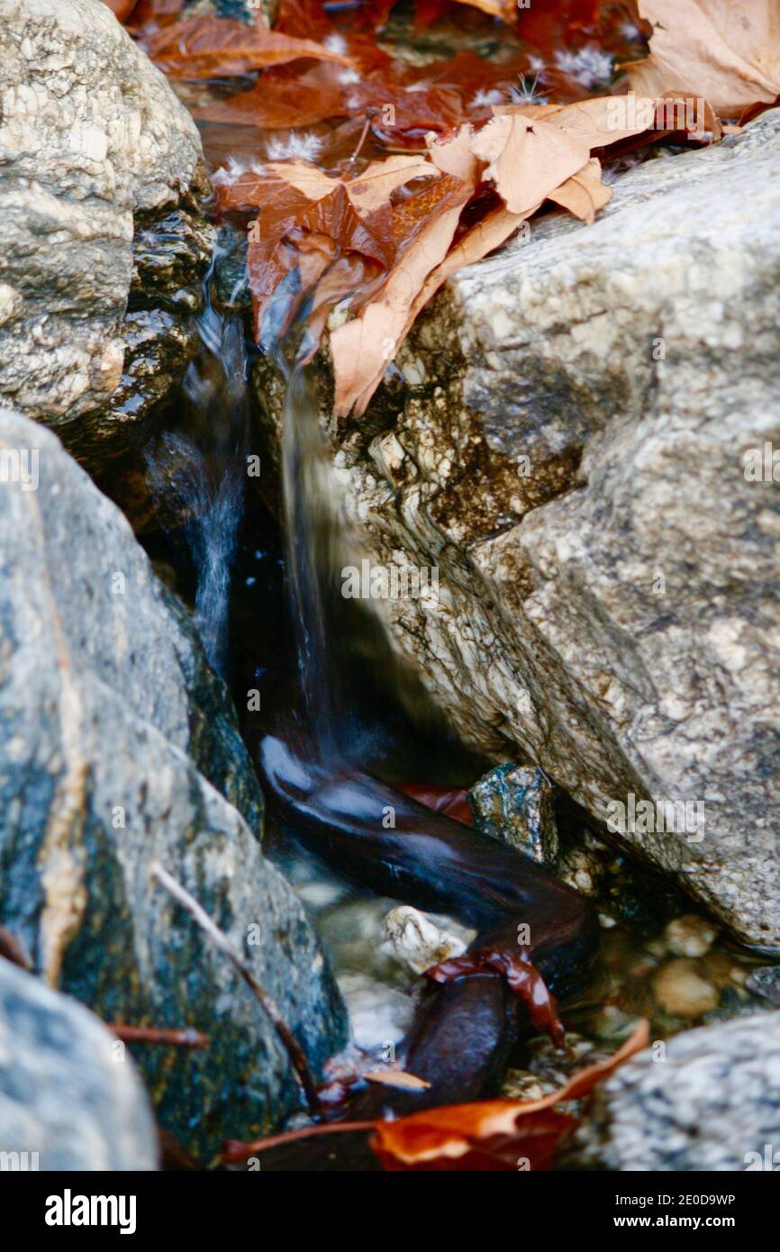 Freshwater spring runoff in hi-res stock photography and images - Alamy