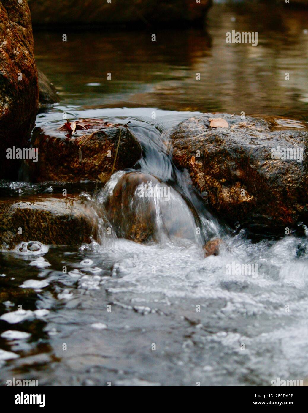 Freshwater spring runoff in Arizona Stock Photo - Alamy