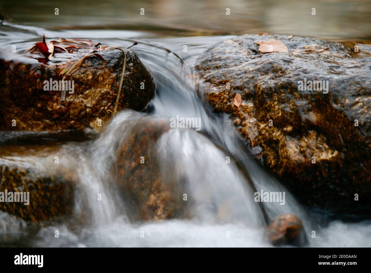 Freshwater spring runoff in Arizona Stock Photo - Alamy