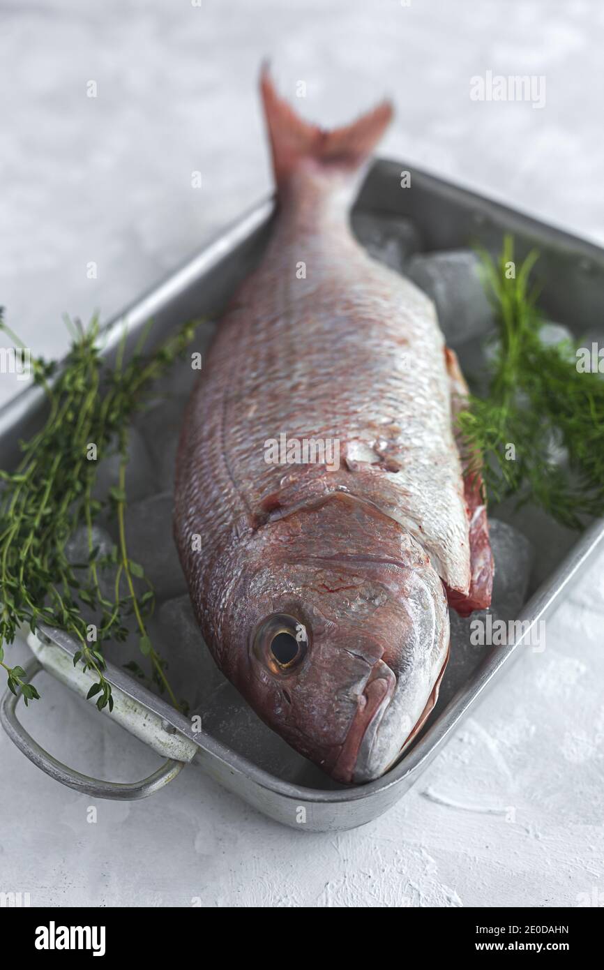 Herb ice cube hi-res stock photography and images - Alamy