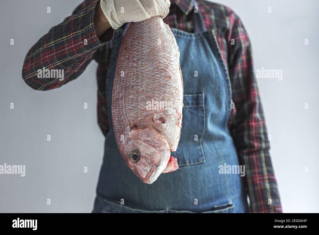 Unrecognizable crop chef wearing apron and gloves standing with raw ...