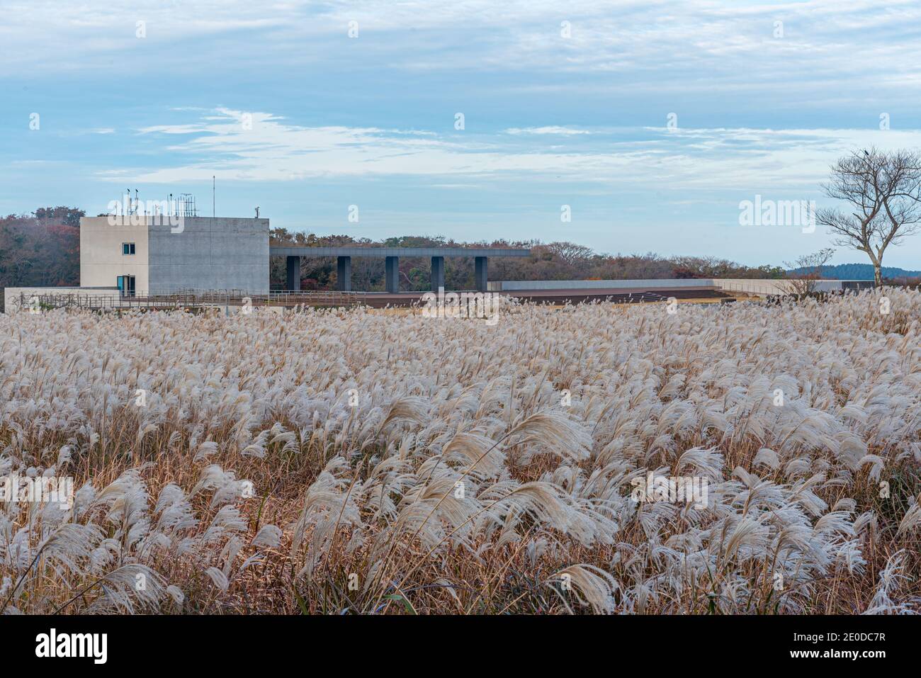 Stone museum at Jeju stone park, Republic of Korea Stock Photo - Alamy