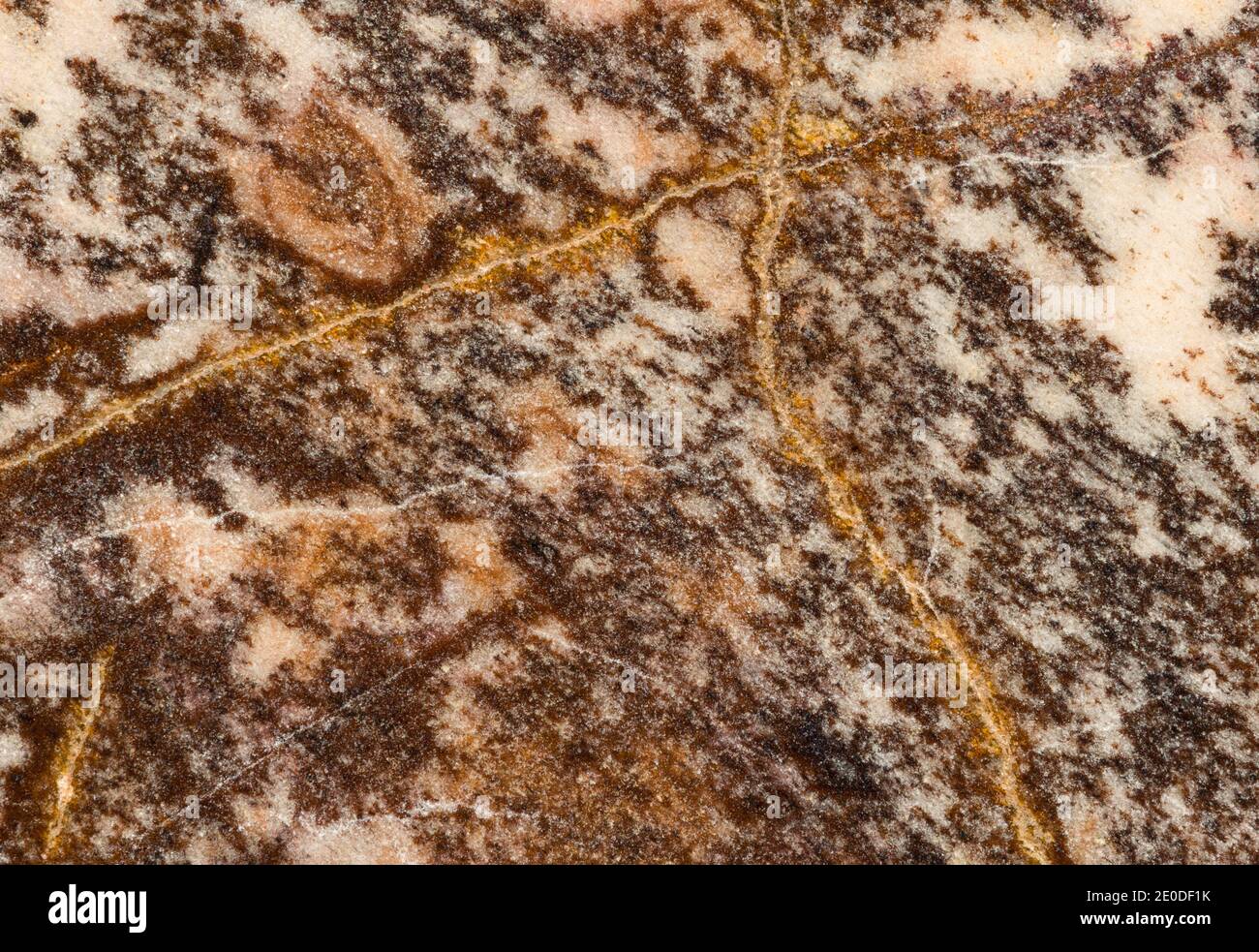 Macro photograph of a slab of polished Outback jasper from Western ...