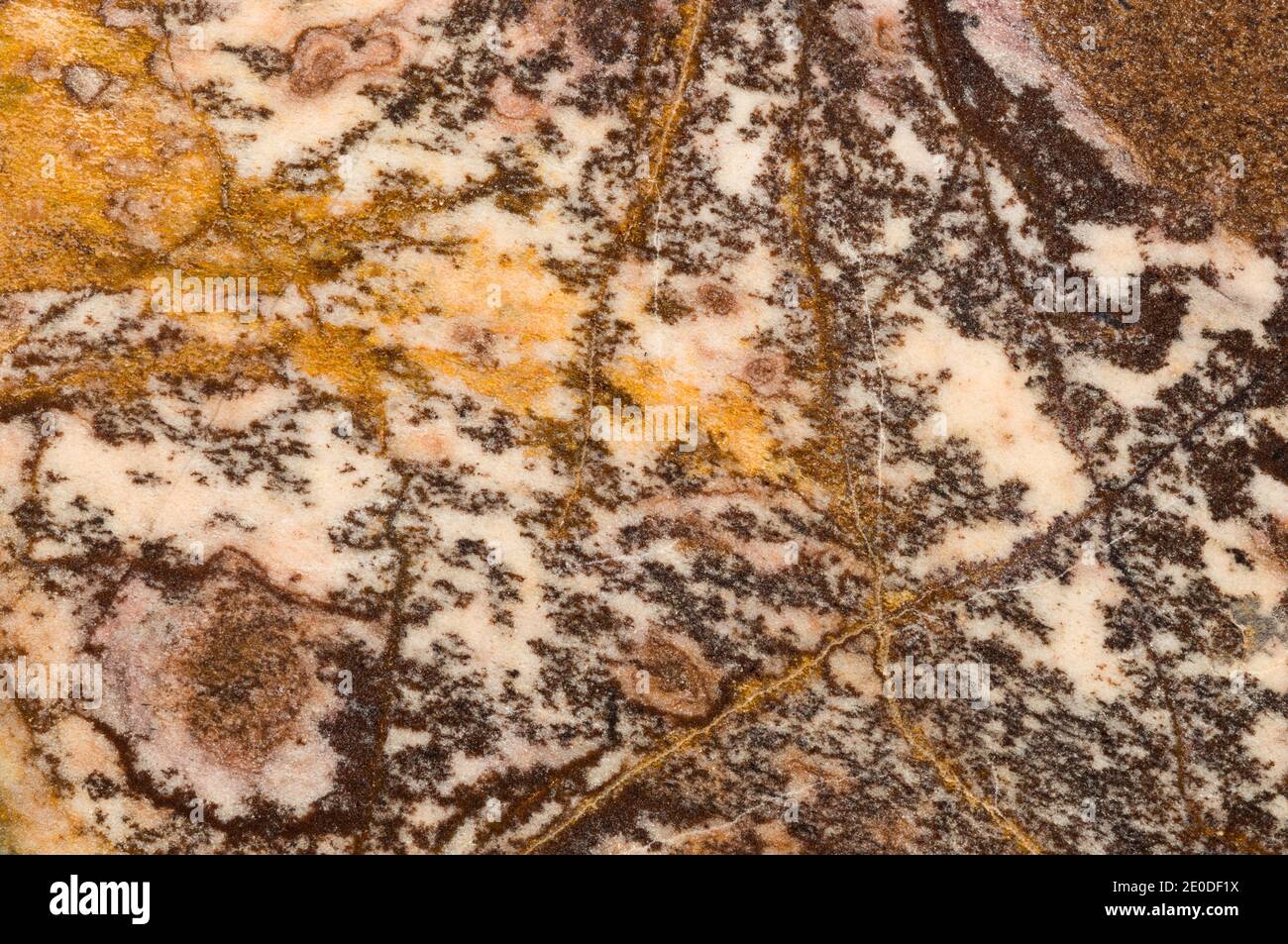 Outback jasper hi-res stock photography and images - Alamy