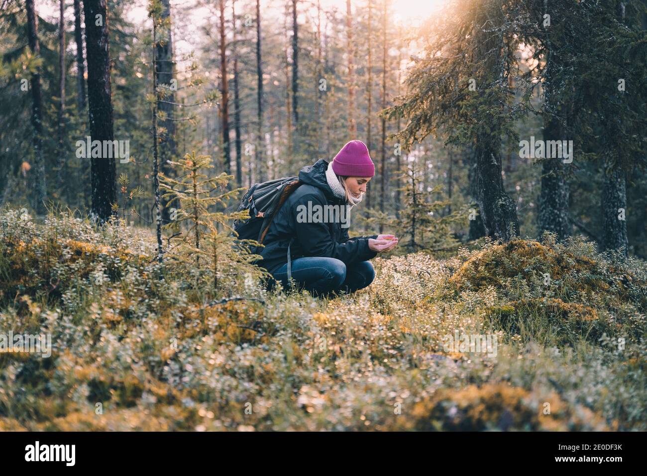 Side view of female explorer sitting in woods in cold season and ...