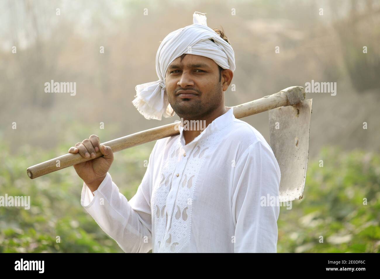 Indian farmer in agricultural field Stock Photo - Alamy
