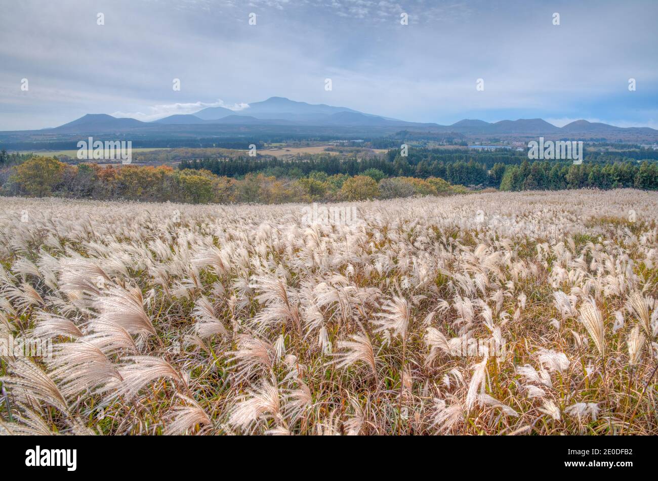 Jeju island peak halla mountain hi-res stock photography and images - Alamy