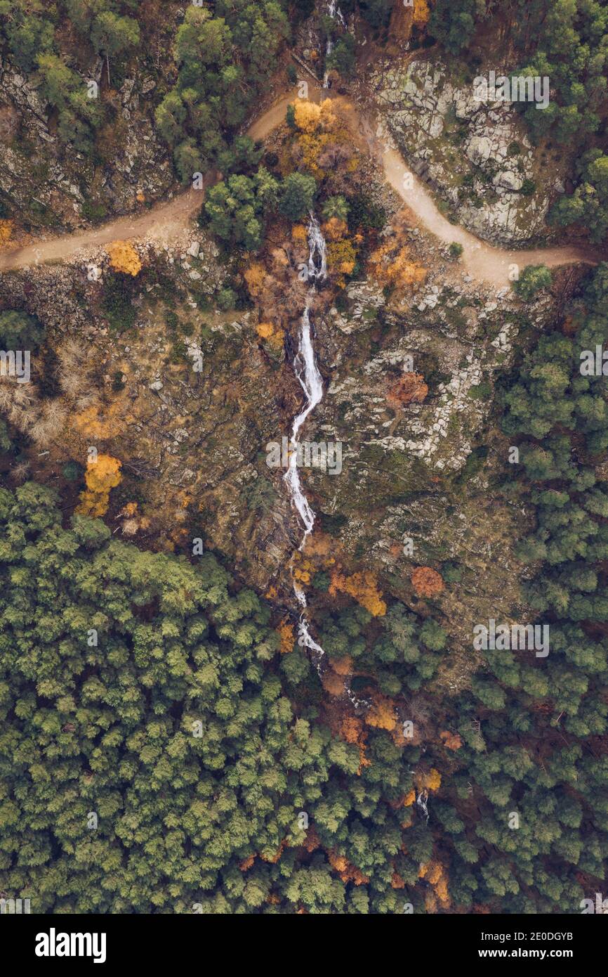 Spectacular drone view of river flowing through green woods on calm ...