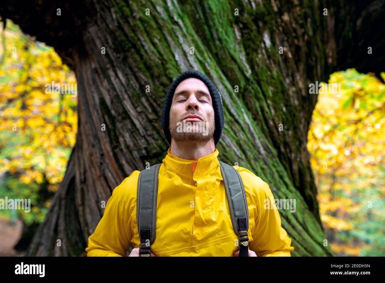 Tourist standing near tree in autumn park and enjoying freedom Stock ...