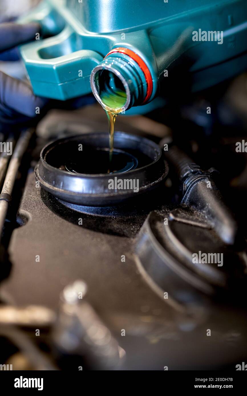 Serious male mechanic pouring engine oil in motor of car while working ...