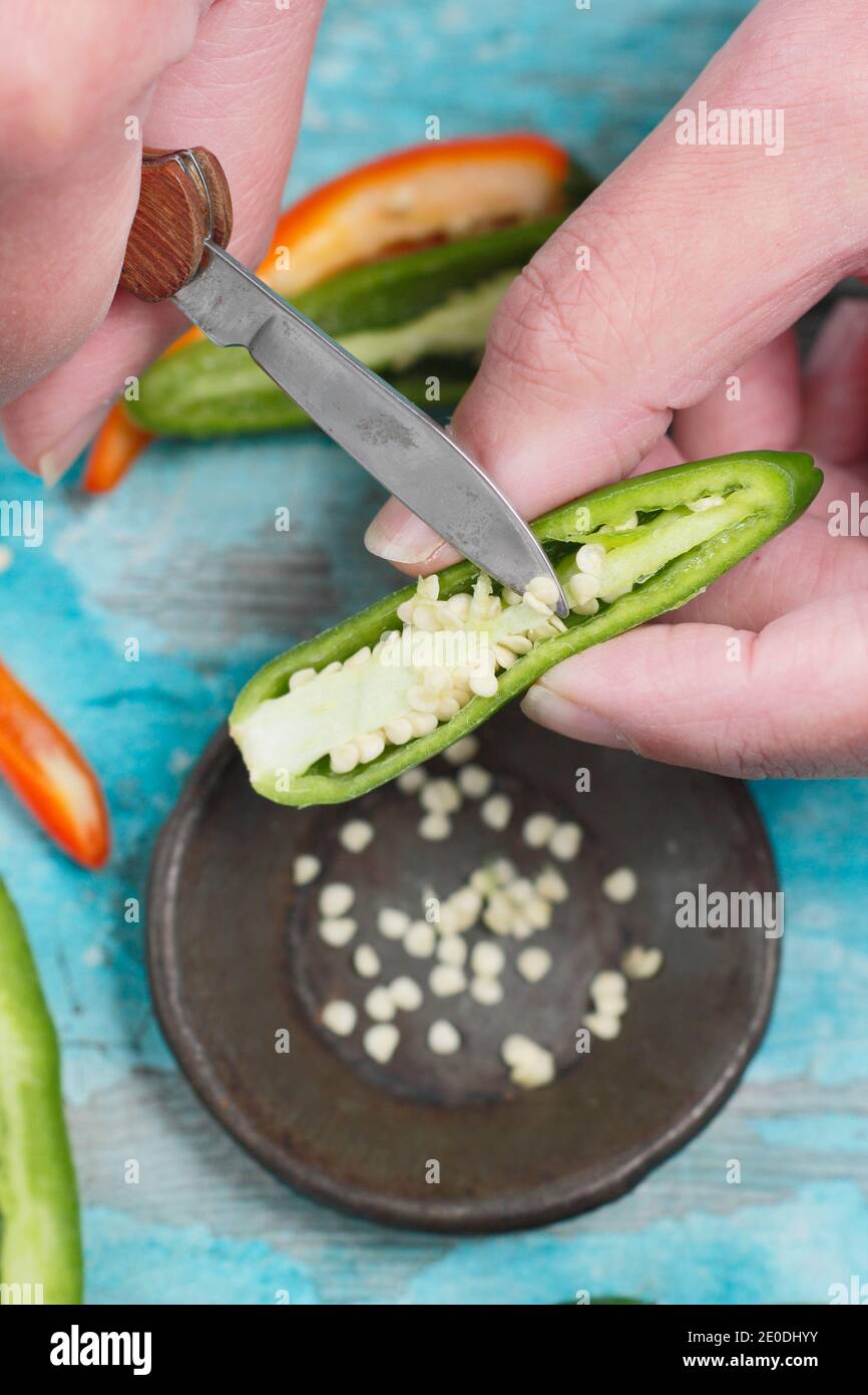Sowing chillies hi-res stock photography and images - Alamy