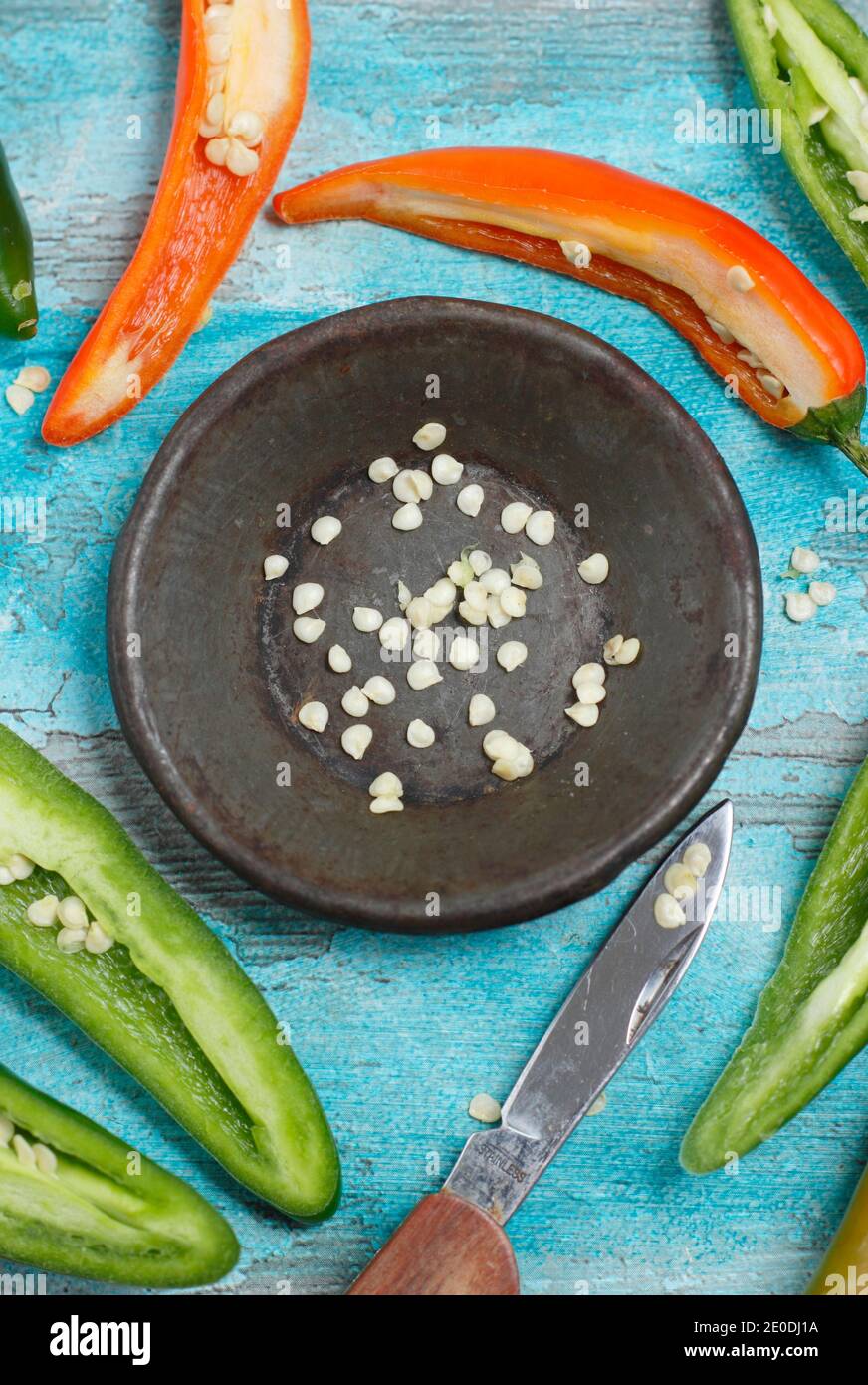 Sowing chilli seed hi-res stock photography and images - Alamy