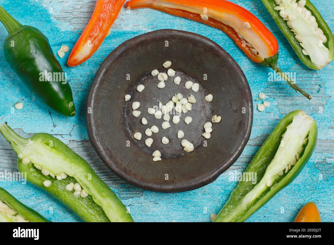 Chilli seed. Saving chilli seed. Seeds from ripe chilli peppers removed ...