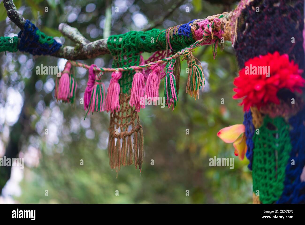 Colorful crochet textiles around a tree on a forest park Stock Photo ...