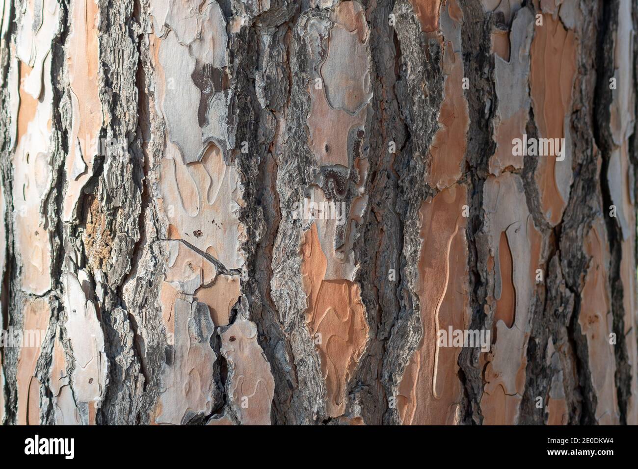 Quality timber hi-res stock photography and images - Alamy