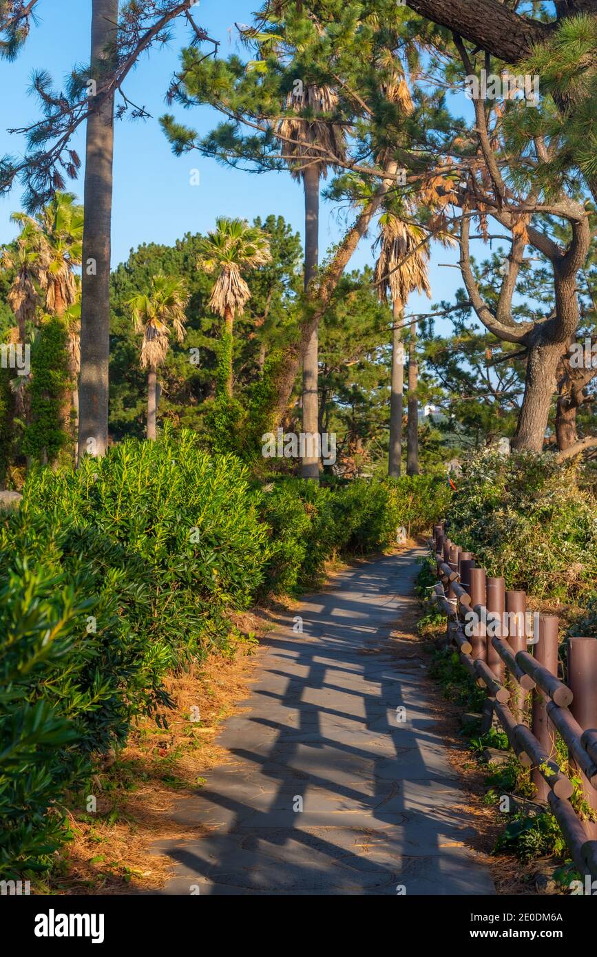 Olle trail at Jeju island, Republic of Korea Stock Photo - Alamy