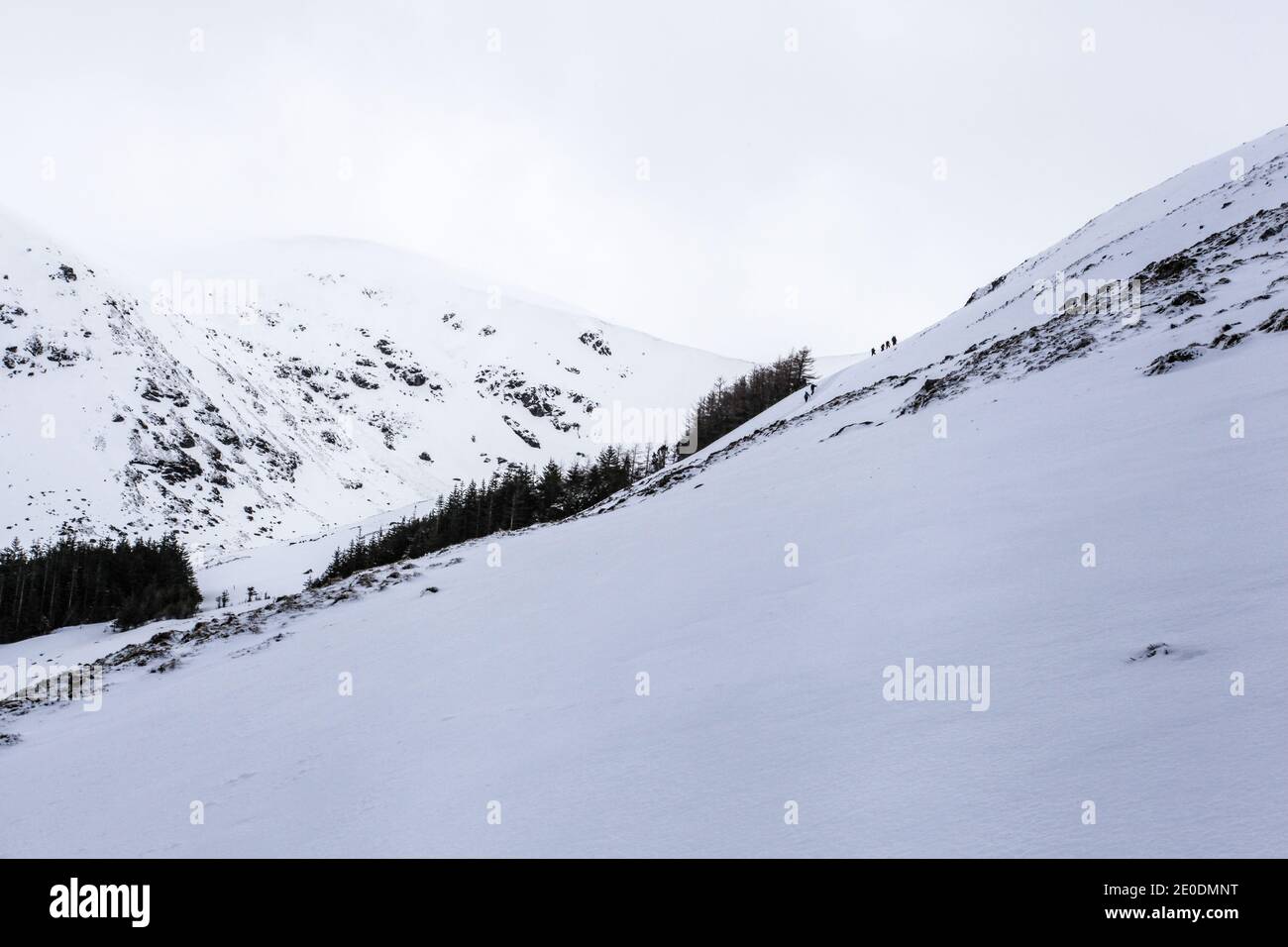 Truncated Spurs High Resolution Stock Photography and Images - Alamy