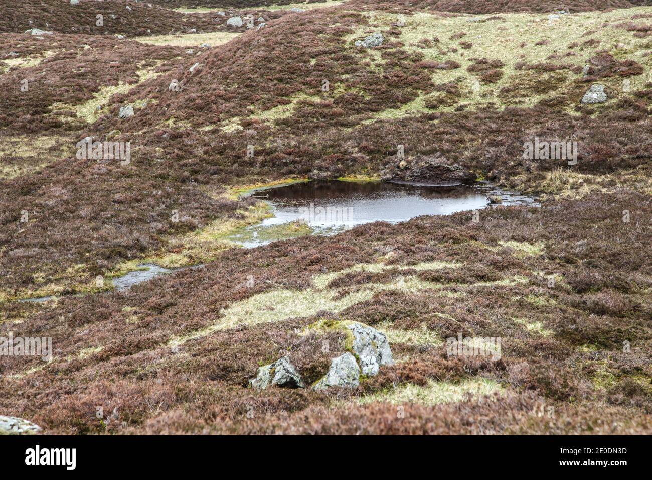 Glen Clova is a remarkable glaciated valley in the western portion of ...