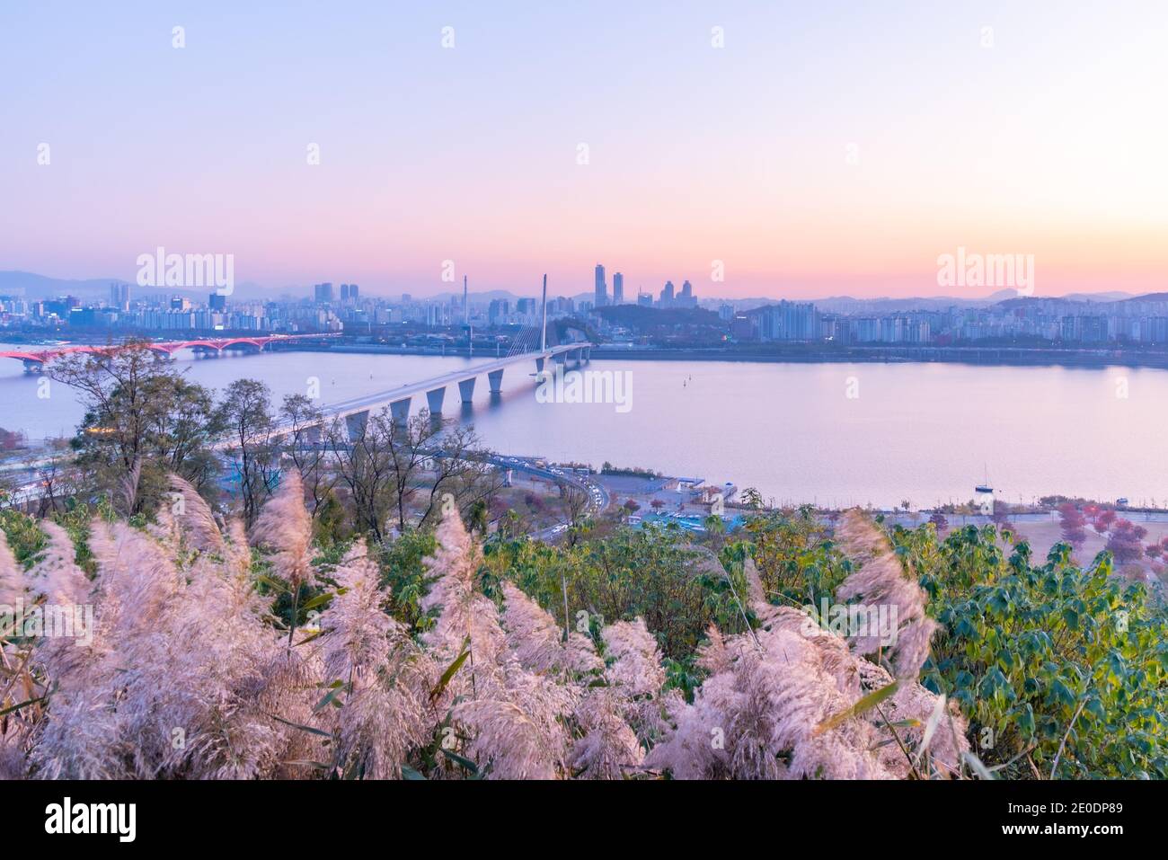 Sunset view of the World cup bridge in Seoul, Republic of Korea Stock ...