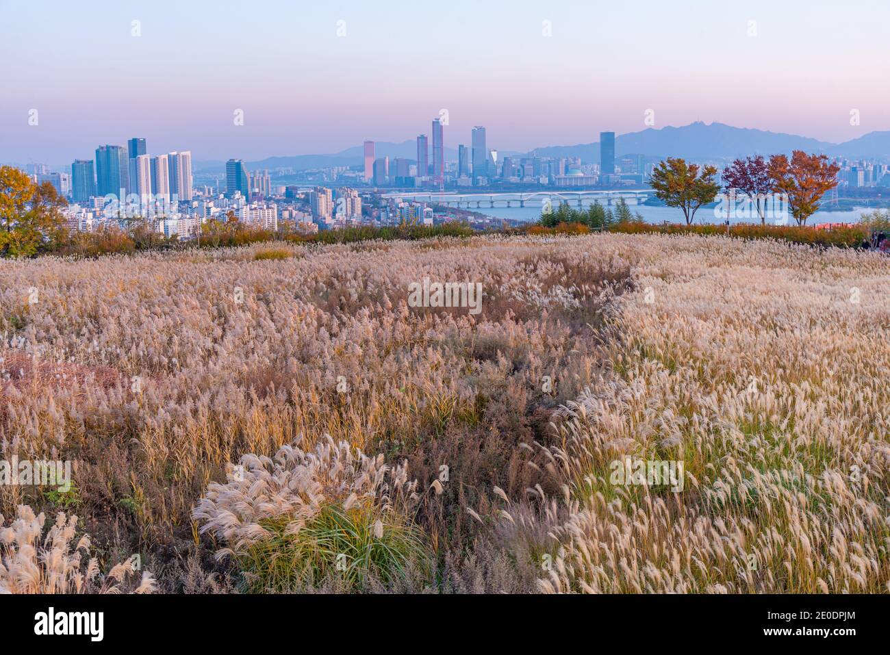 Sunset aerial view of downtown Seoul from Haneul park, Republic of ...