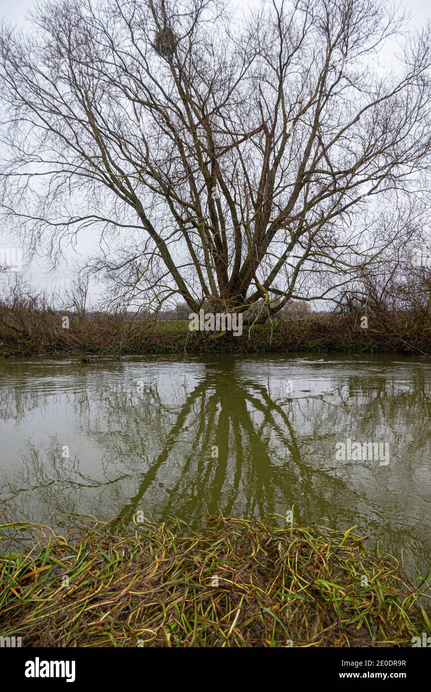 Granta river hi-res stock photography and images - Alamy