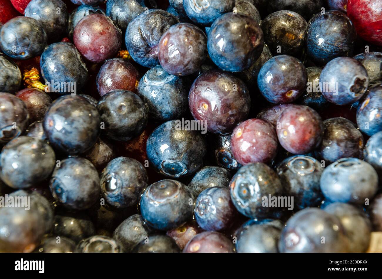 Blueberry close up view hi-res stock photography and images - Alamy